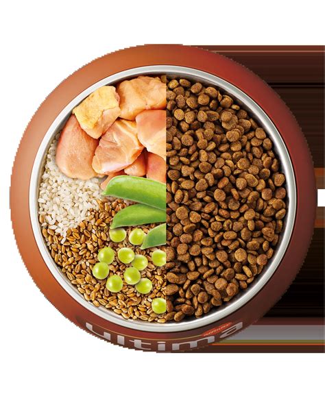 Our Brands Affinity Petcare