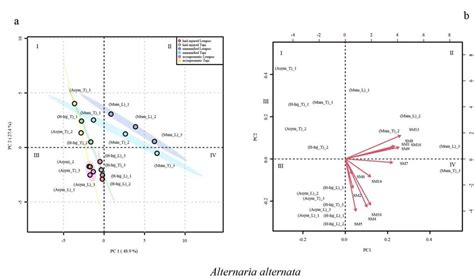 principal component analysis pca scores plot a and biplot b