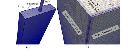 details of the numerical mesh a general overview b details of the