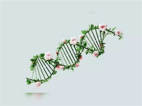 Genetic और Social Memory से ऊपर उठ जाओ Rise Above Genetic And Social Memory Hindi Speaking Tree