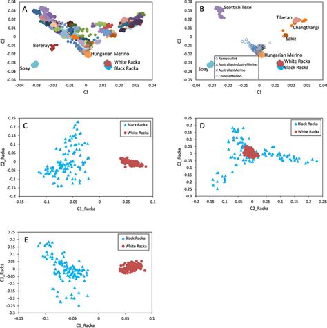 multidimensional scaling plot depicting a the relationships of racka download scientific