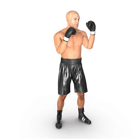 Adult Boxer Man 2 Pose 2 3D模型 3D模型 129 3ds c4d fbx ma obj max