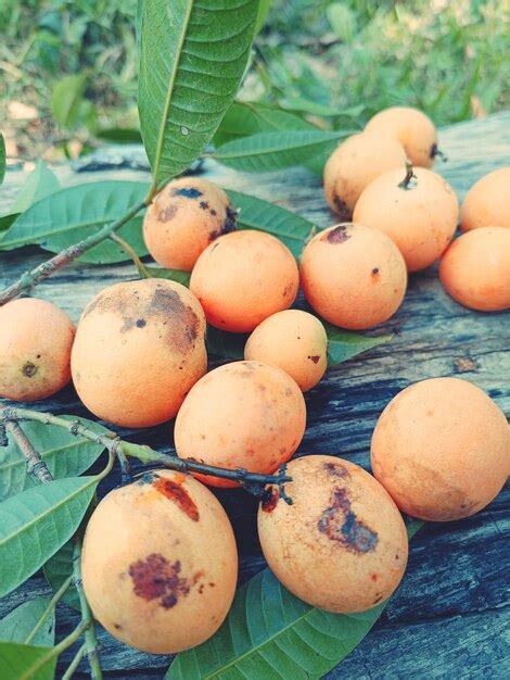 Premium Photo Mapring Some Fruit Of Thailand