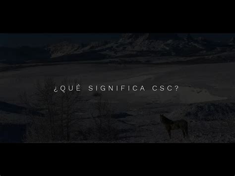 🥇 Csc Que Es 5 Claves Para Entender Su Importancia En 2025