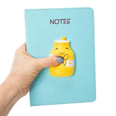 Five Below Squishy Journal At Hamilton Place In Chattanooga Tn