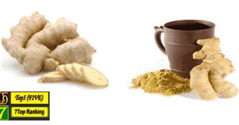 Khasiat Dan Manfaat Jahe Untuk Kesehatan Thequirkyfox Blogspot Com