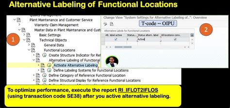 How To Do Alternative Labeling In Sap Avnikant Singh 🇮🇳 Posted On The