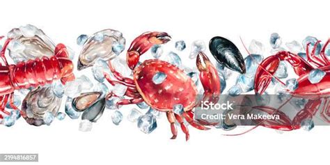 랍스터 홍합 굴 얼음 조각에 게 수채화 완벽 한 테두리 손으로 그린 그림 갑각류에 대한 스톡 벡터 아트 및 기타 이미지 갑각류 게 게 해산물 Istock