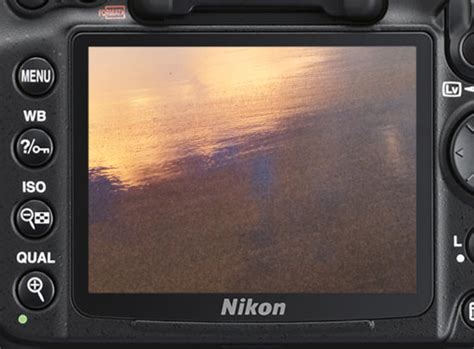 Autofocus Manual Focus Setting For Nature Photography