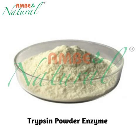 Trypsin Powder Enzyme Grade Standard Technical Grade At ₹ 550kg In