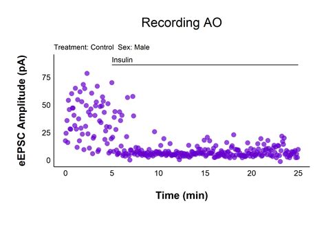 Plot And Analyze Patch Clamp Electrophysiology Data In R • Patchclampplotter