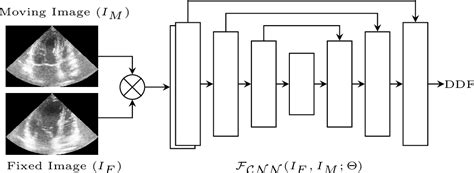 Figure 2 From Multi Scale Data Driven And Anatomically Constrained