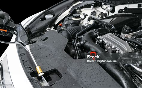 자동차 세부 압력 물과 수동 세차 엔진 물 분사 구를 가진 세차 차 엔진 자동차 세 면 노동자 청소 차량 세차를 위한 압력