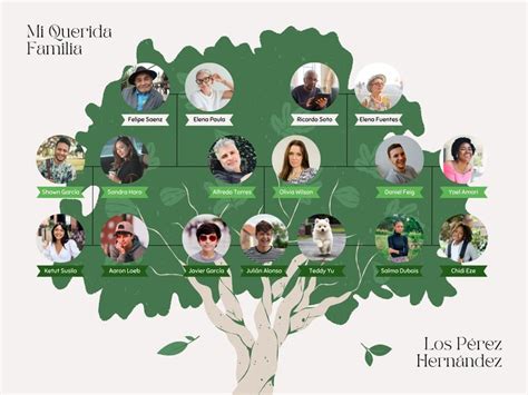 Plantillas de árbol genealógico para editar Canva