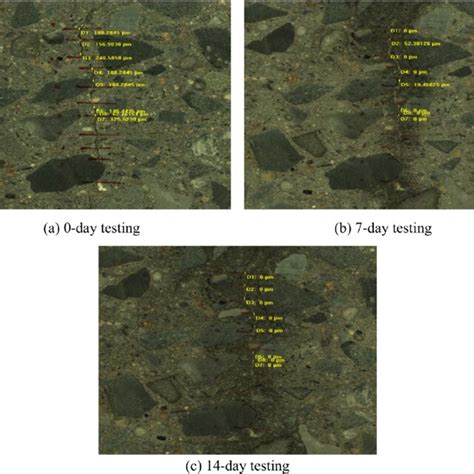 Crack Width Comparison With Age Crack Inducement Day 3 Download Scientific Diagram