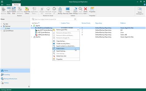 Step 1 Launch Publish Disks Wizard Veeam Agent For Mac User Guide