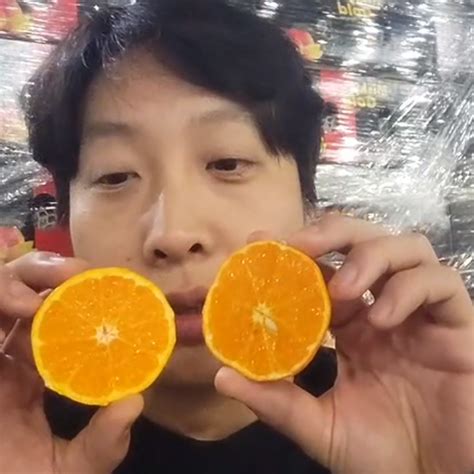 오늘과일 김성중 설국향 소과 2kg4kg