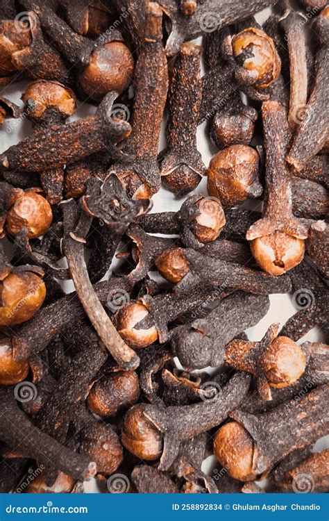 Cloves In Indian At Giuseppe Siegel Blog