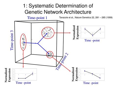Ppt Beyond Co Expression Gene Network Inference Powerpoint