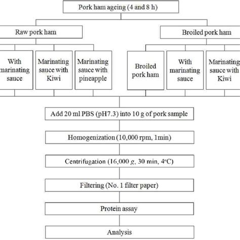Diagram Showing Experimental Treatments And Sample Preparation