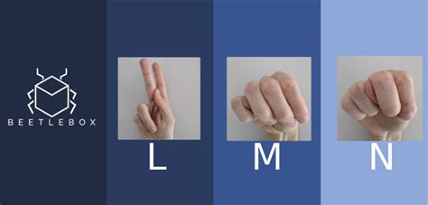 Vitis Ai Using Tensorflow And Keras Tutorial Part 4 Beetlebox