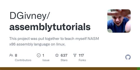 assemblytutorials code lesson35 socket asm at master · dgivney