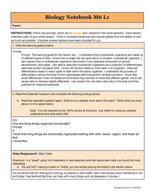 Matter Flowchart Fill In The Blank 7 MATTER ELEMENTS COMPOUNDS Can