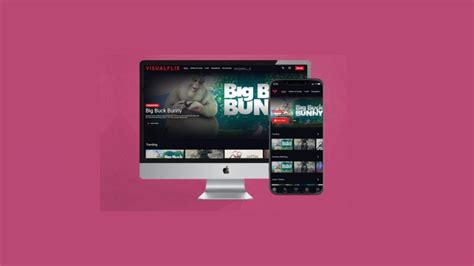 The Ultimate Guide to Start OTT Platform without Coding.