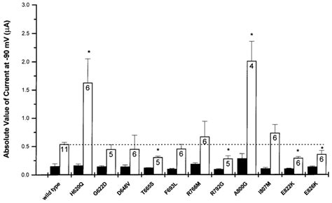 Whole Cell Chloride Currents Measured In Xenopus Laevis Oocytes
