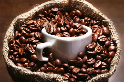 신선한 삼 베 자루 커피 컵과 어두운 배경에 그 라인 더에 커피 콩을 볶은 갈색에 대한 스톡 사진 및 기타 이미지 갈색 구이 농업 Istock