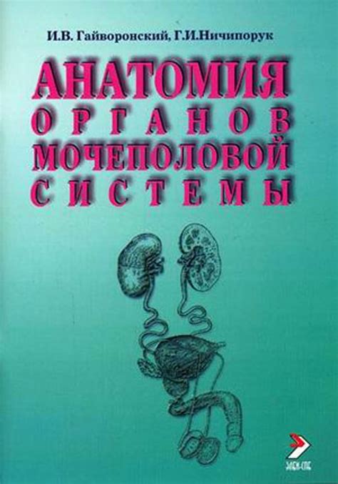 Козлов Анатомия Сердечно-Сосудистой Системы - thingsspecification