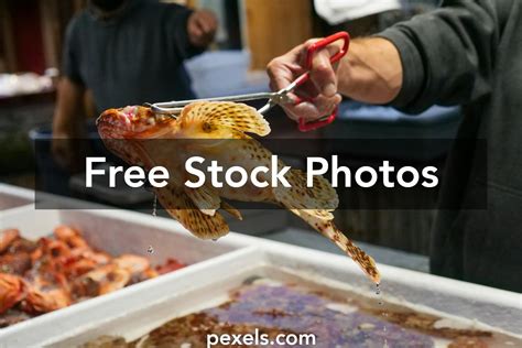 Binomial Distribution Poisson Distribution Photos Download The Best