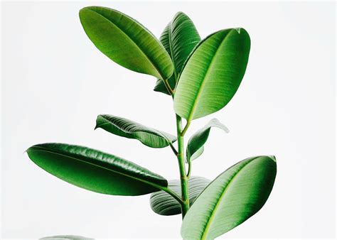 Der Gesunde Einlauf Unsere Anleitung Ebenthal Vital