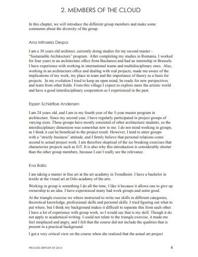 10 Process Report Templates In Google Docs Word Pages PDF XLS