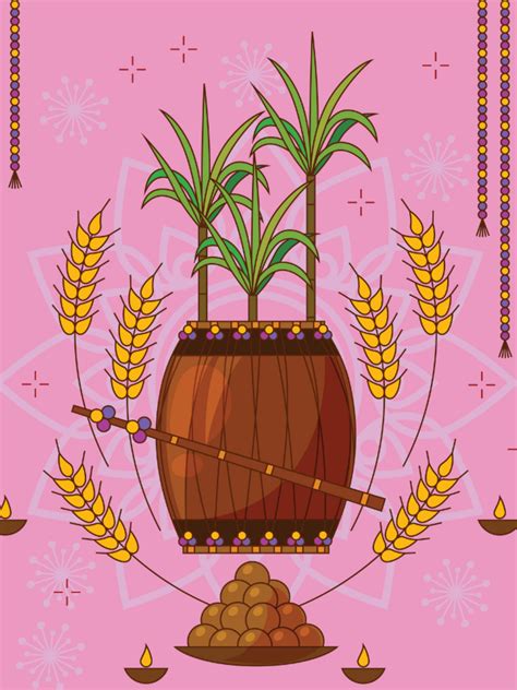 మకర సంక్రాంతికి ఇతర రాష్ట్రాల్లో పేర్లు ఇవే Times Now Telugu