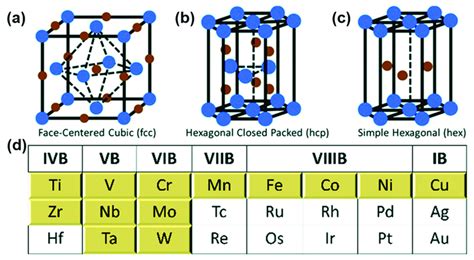 a face−centered cubic structure model of tmns b hexagonal closed