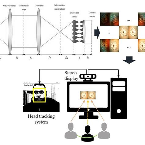 the proposed head tracking based multi view 3d display system for an