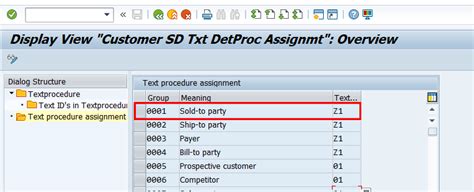 Sap Sd 013 Text Determination Salmonkim