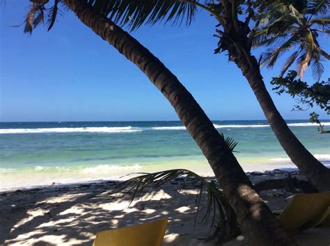 Seychelles Scrolller