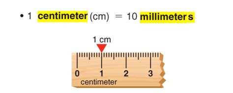 Metric Units Of Measurement