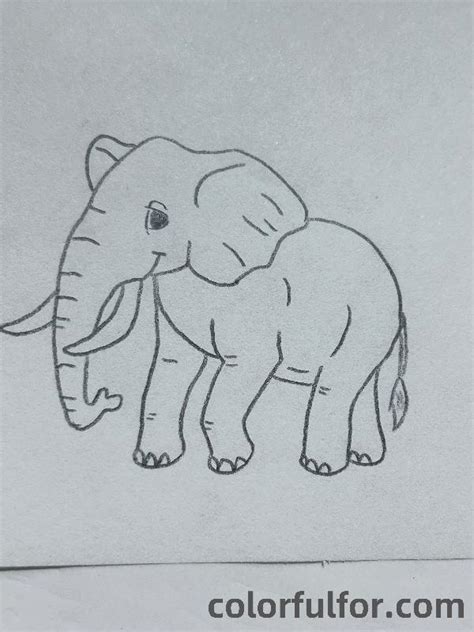 14 Cute Simple Elephant Drawing Ideas Colorfulfor