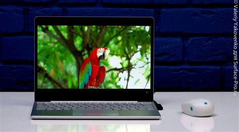 Surface Laptop Go2 195951 Surface Pro