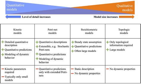 Overview Of Metabolic Modeling Approaches And Their Advantages And