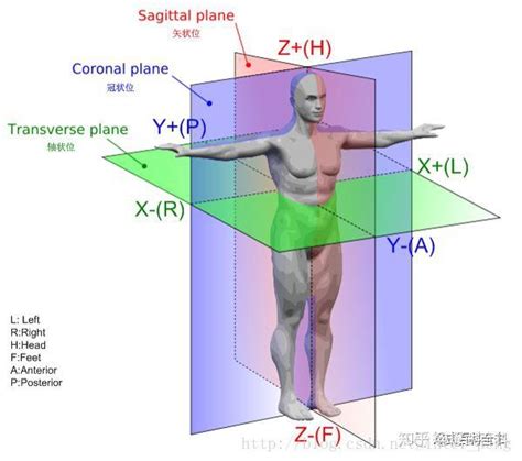 影像断层扫描中的坐标系讨论 知乎