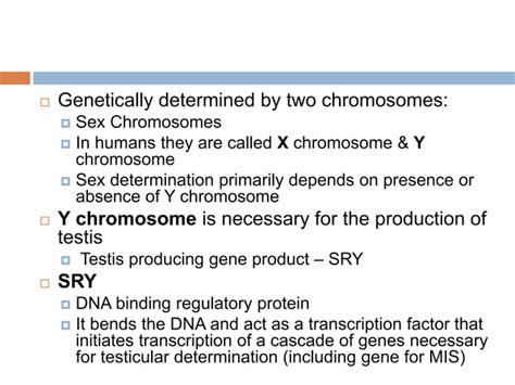 Sex Differentiation Pptx Reproductive Health Diseases And Conditions
