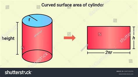 Curved Surface Area Cylinder Stock Vector Royalty Free 2247150705 Shutterstock