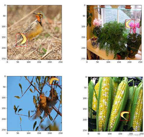 Pytorch Rcnn物体检测的简化实现（d2l 香蕉数据集）pytorch实现rcnn Csdn博客