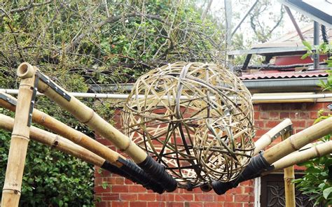 Giant Spider Header Giant Grass