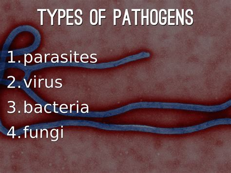 Examples Of Pathogens That Cause Disease Szotp