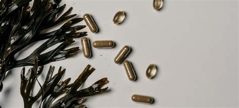 Seaweed Your Sex Life Saviour Doctor Seaweed Blog